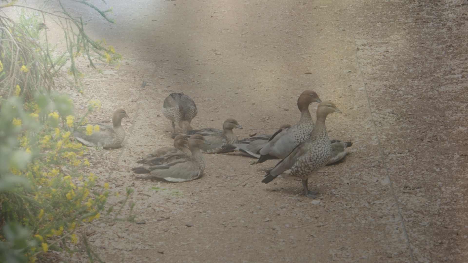 CAT TYSON HUGHES – A Thousand Arms