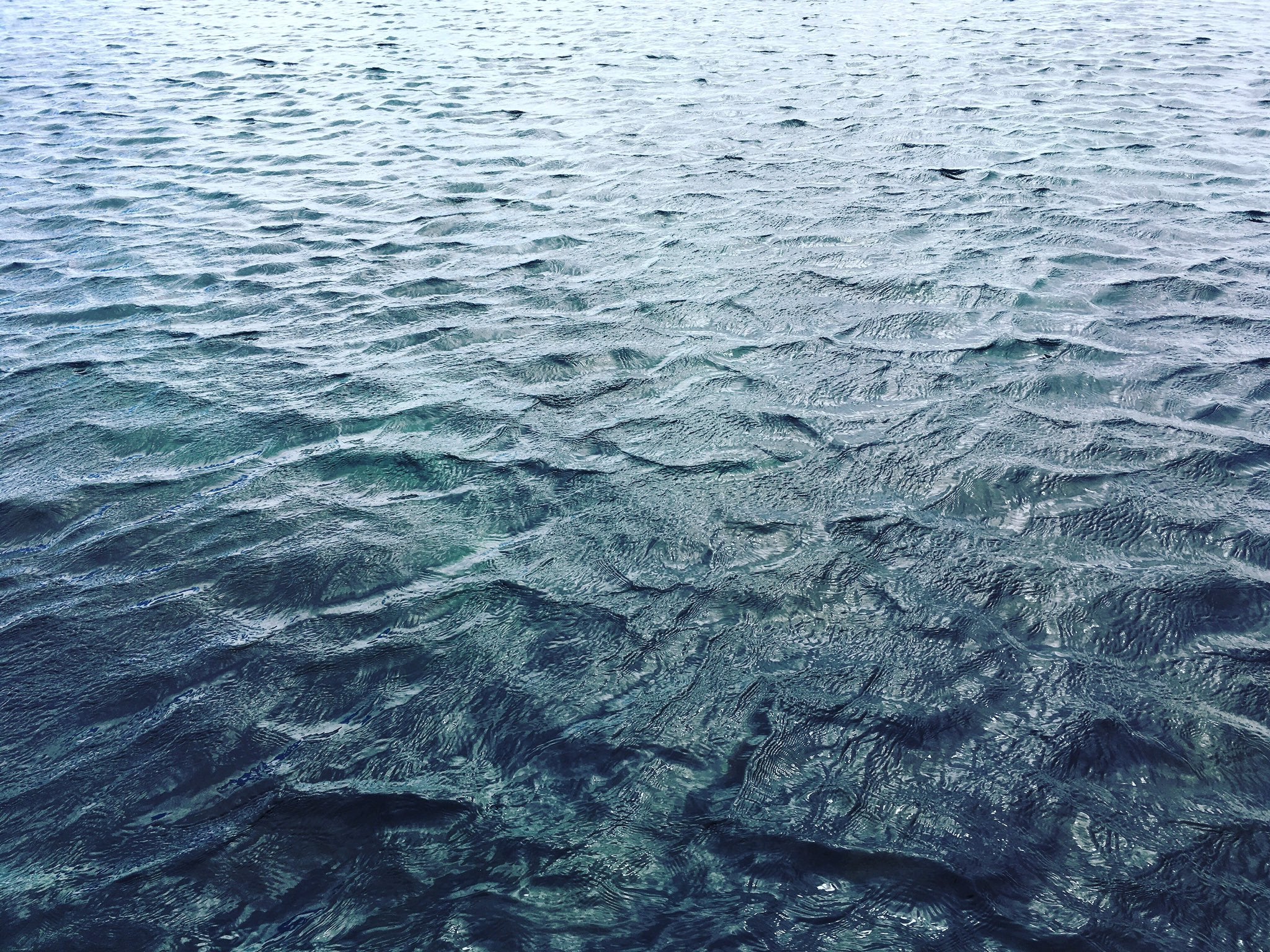 GALLERY SIX – A Thousand Arms